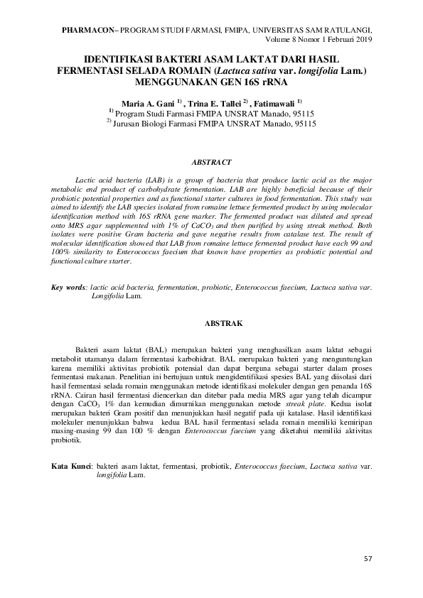 (PDF) IDENTIFIKASI BAKTERI ASAM LAKTAT DARI HASIL FERMENTASI SELADA ROMAIN (Lactuca sativa var ...