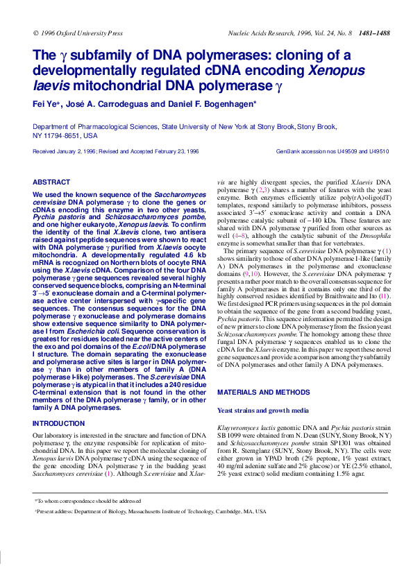 (PDF) The gamma subfamily of DNA polymerases: cloning of a ...
