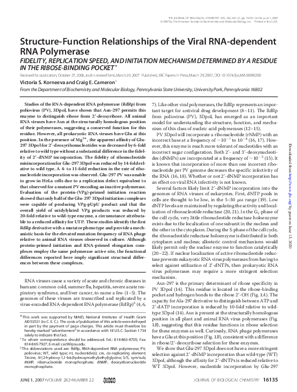 (PDF) Structure-Function Relationships of the Viral RNA-dependent RNA ...