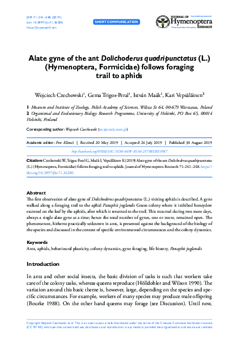(PDF) Alate gyne of the ant Dolichoderus quadripunctatus (L ...