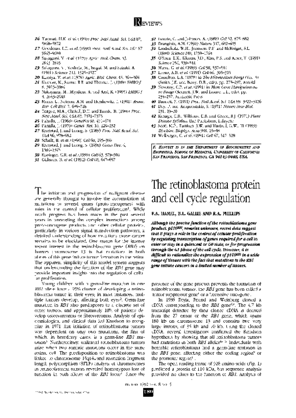 (PDF) The retinoblastoma protein and cell cycle regulation