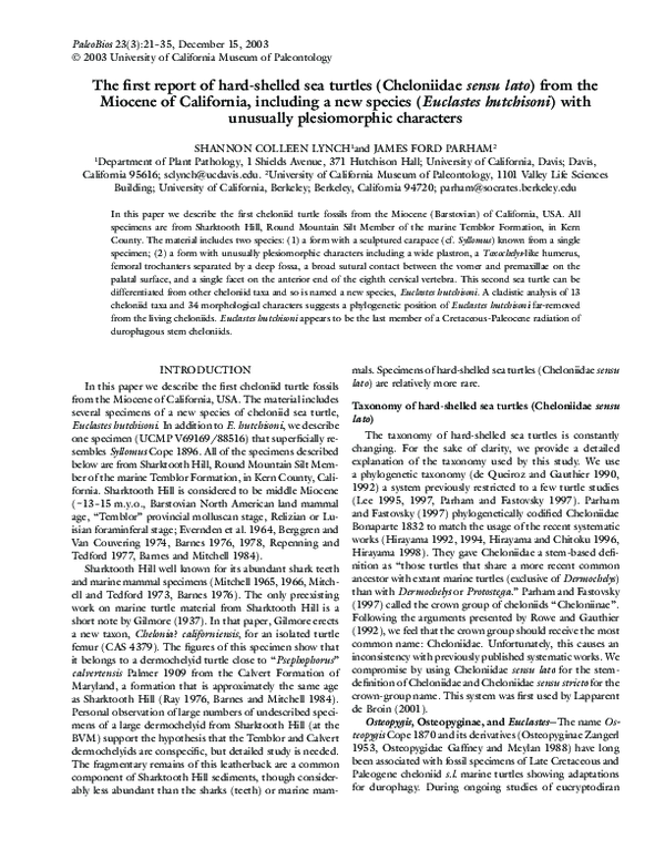 (PDF) The fi rst report of hard-shelled sea turtles (Cheloniidae sensu ...