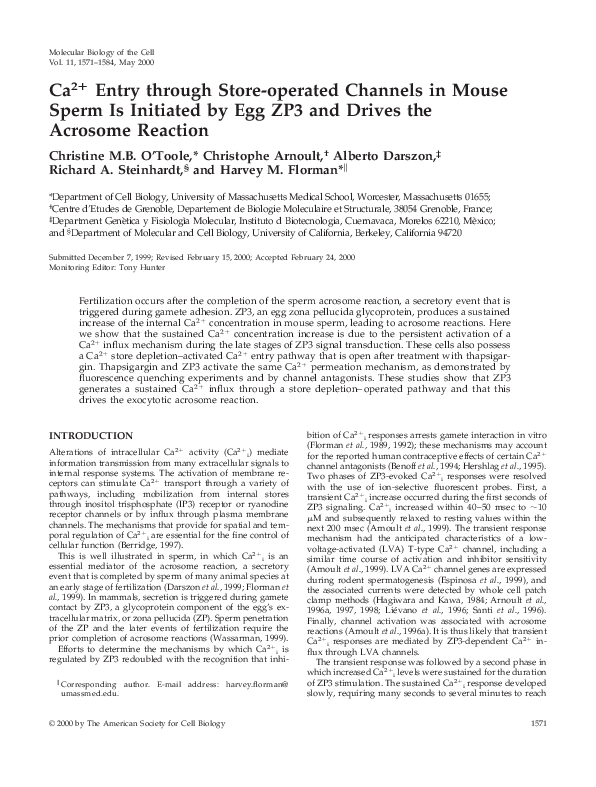 (PDF) Ca2+ Entry through Store-operated Channels in Mouse Sperm Is ...