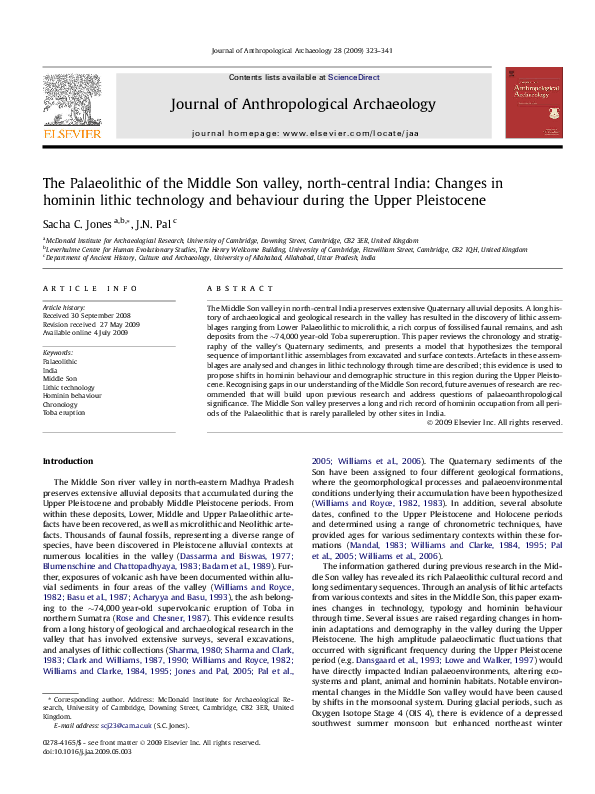 (PDF) The Palaeolithic of the Middle Son valley, north-central India ...