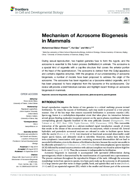 (PDF) Mechanism of Acrosome Biogenesis in Mammals