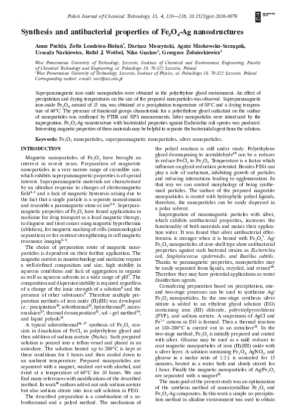 (PDF) Synthesis and antibacterial properties of Fe3O4-Ag nanostructures