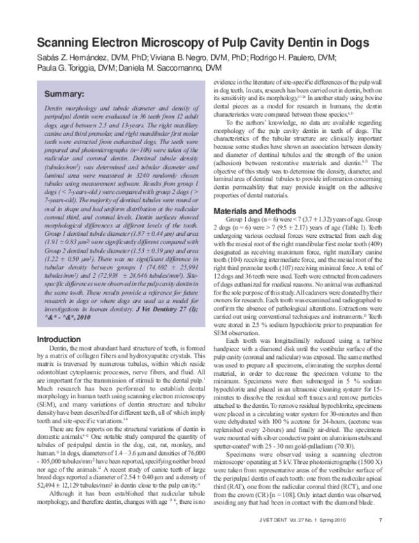 (PDF) Scanning electron microscopy of pulp cavity dentin in dogs
