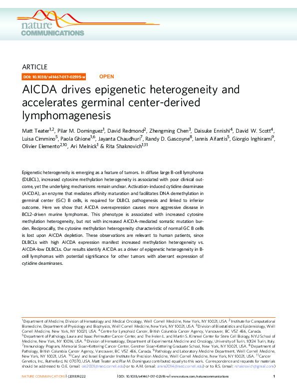 (PDF) AICDA drives epigenetic heterogeneity and accelerates germinal ...