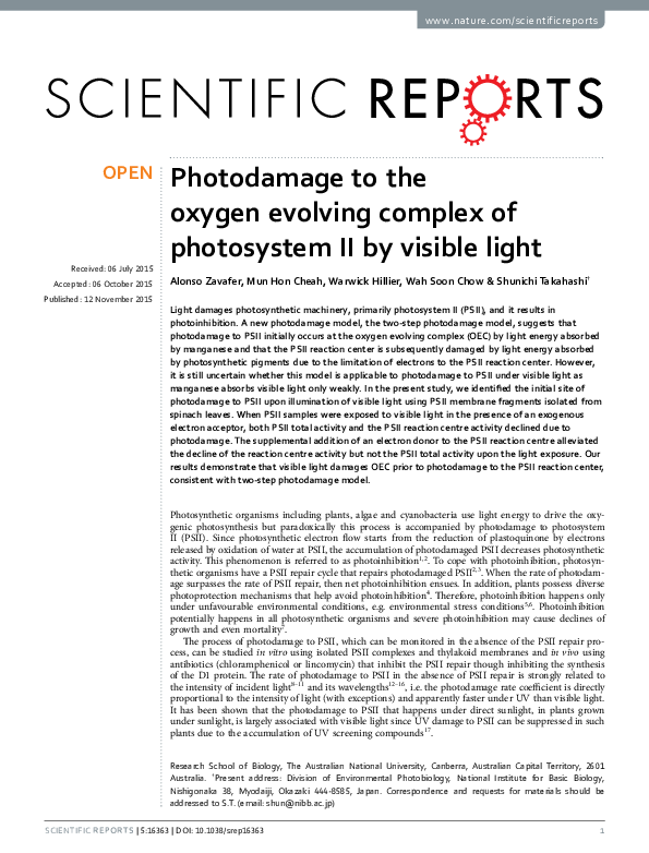 (PDF) Photodamage to the oxygen evolving complex of photosystem II by ...