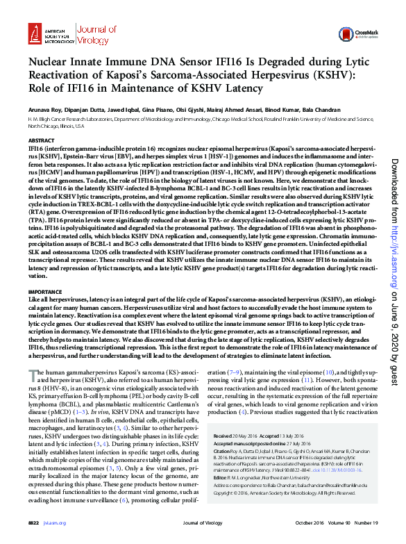 (PDF) Nuclear Innate Immune DNA Sensor IFI16 is Degraded During Lytic Reactivation of Kaposi's ...