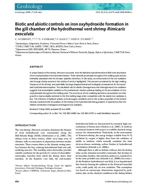 (PDF) Biotic and abiotic controls on iron oxyhydroxide formation in the ...