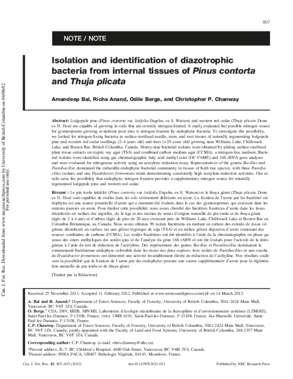 (PDF) Isolation and identification of diazotrophic bacteria from internal tissues of Pinus ...