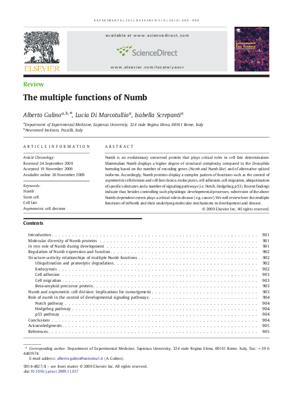 (PDF) The multiple functions of Numb
