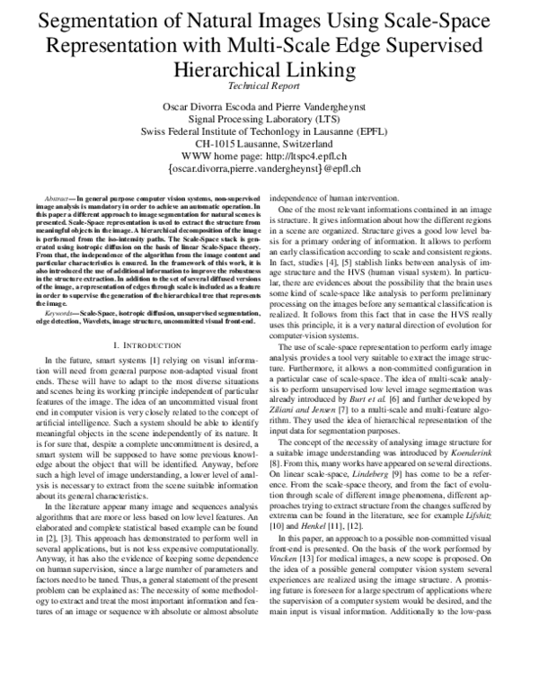 (PDF) Segmentation of Natural Images Using Scale-Space Representation with Multi-Scale Edge ...