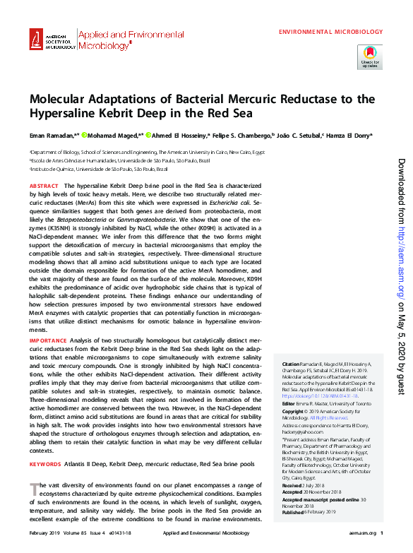 (PDF) Molecular adaptations of bacterial mercuric reductase to the hypersaline Kebrit Deep in ...