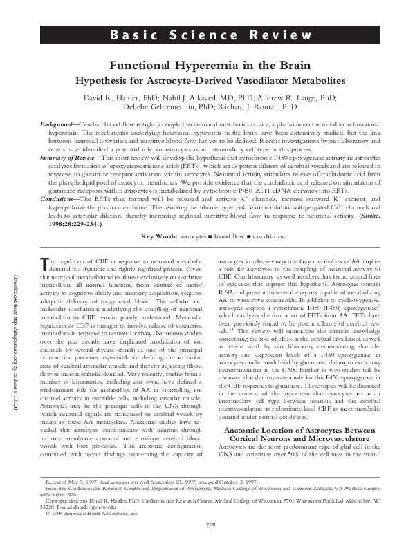 (PDF) Functional Hyperemia in the Brain : Hypothesis for Astrocyte ...