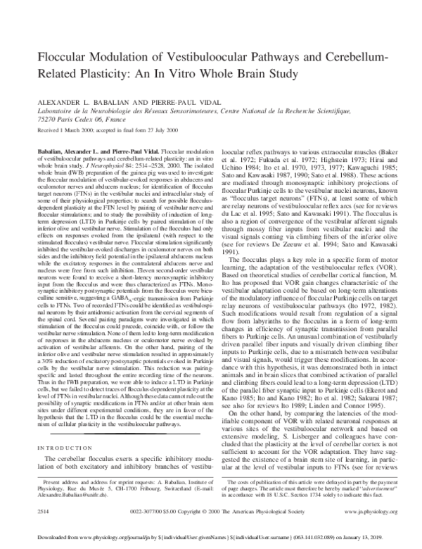 (PDF) Floccular modulation of vestibuloocular pathways and cerebellum ...