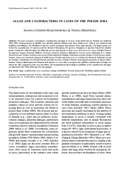 (PDF) Epilithic algae from caves of the Krakowsko-Częstochowska Upland ...