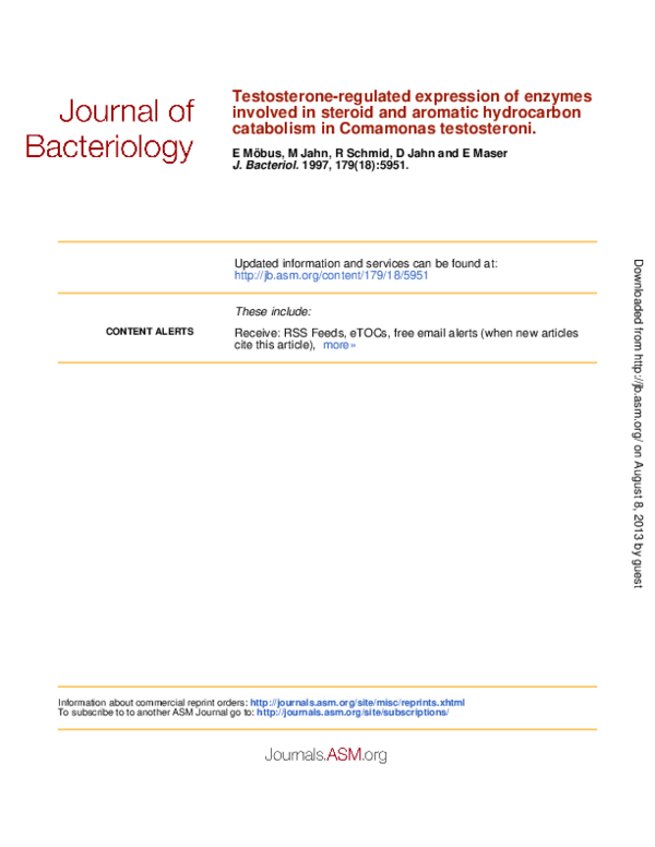 (PDF) Testosterone-regulated expression of enzymes involved in steroid ...