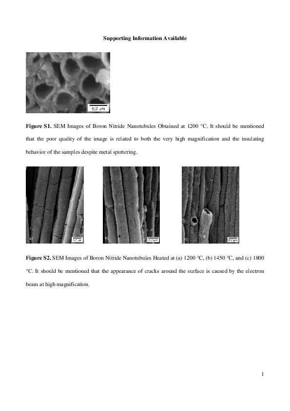 (PDF) Synthesis of Boron Nitride Nanotubes by a Template-Assisted ...