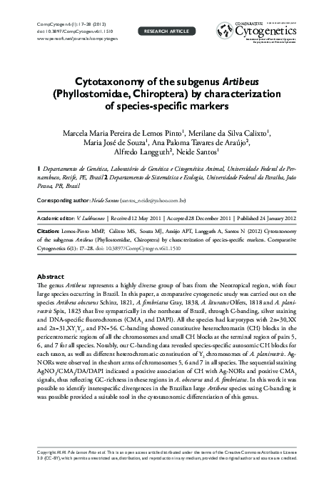 (PDF) Cytotaxonomy of the subgenus Artibeus (Phyllostomidae, Chiroptera ...