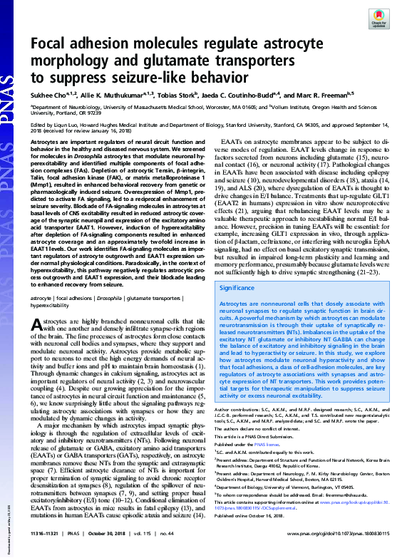 (PDF) Focal adhesion molecules regulate astrocyte morphology and ...