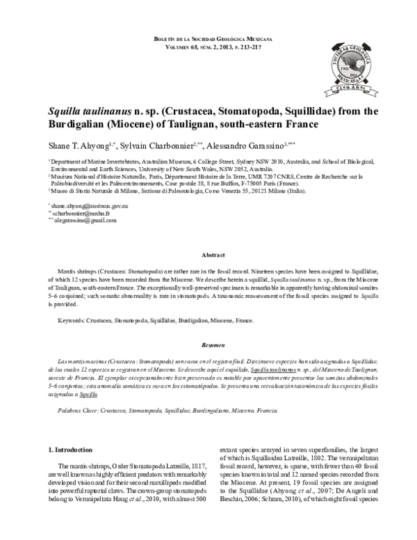 (PDF) Squilla taulinanus n. sp. (Crustacea, Stomatopoda, Squillidae ...