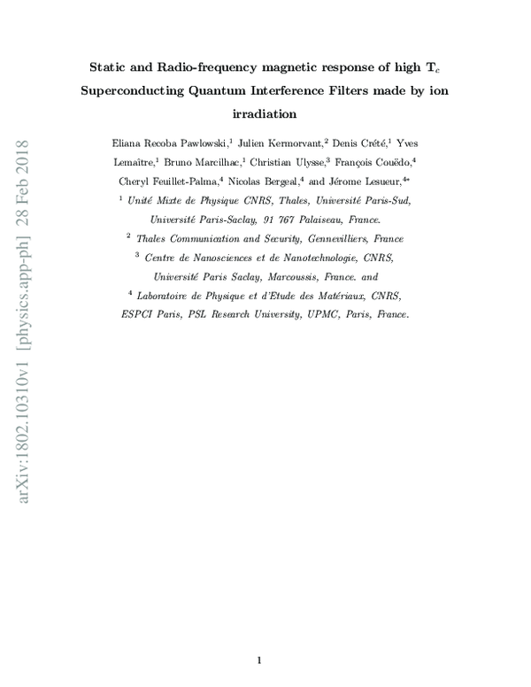 (PDF) Static and radio frequency magnetic response of high T c ...