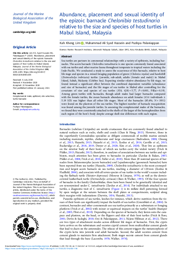 (PDF) Abundance, placement and sexual identity of the epizoic barnacle ...