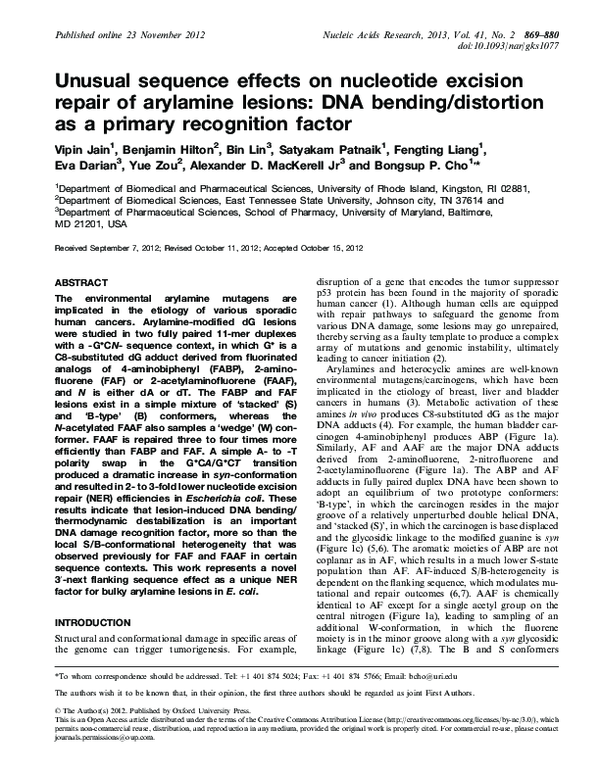 (PDF) Unusual sequence effects on nucleotide excision repair of ...