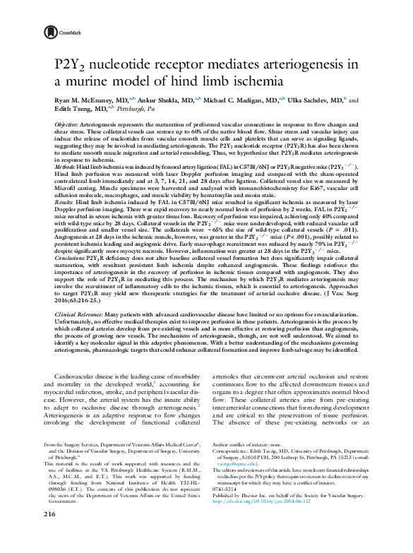 (PDF) P2Y2 nucleotide receptor mediates arteriogenesis in a murine ...