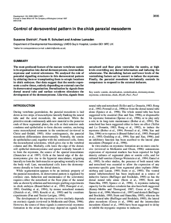 (PDF) Control of dorsoventral pattern in the chick paraxial mesoderm