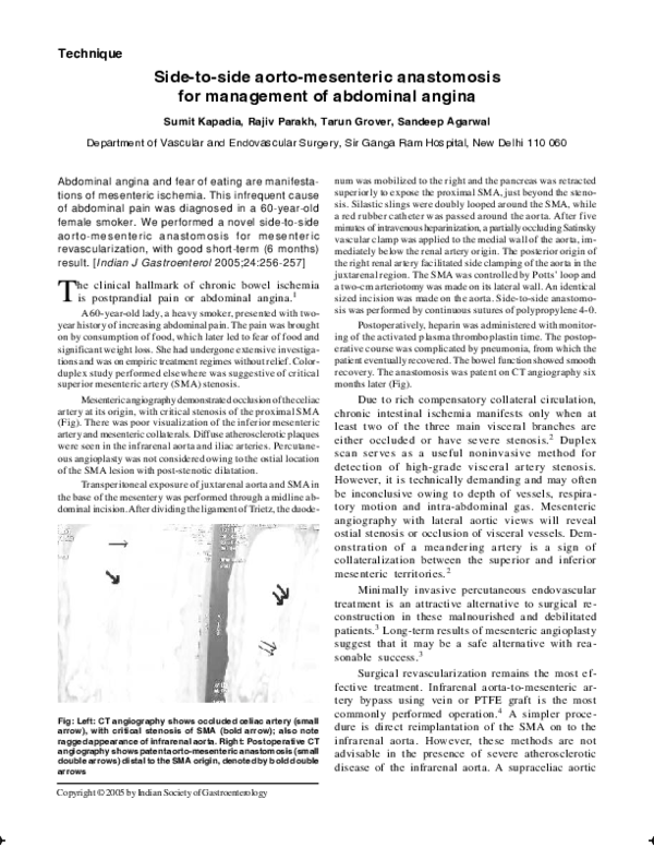 (PDF) Side-to-side aorto-mesenteric anastomosis for management of ...