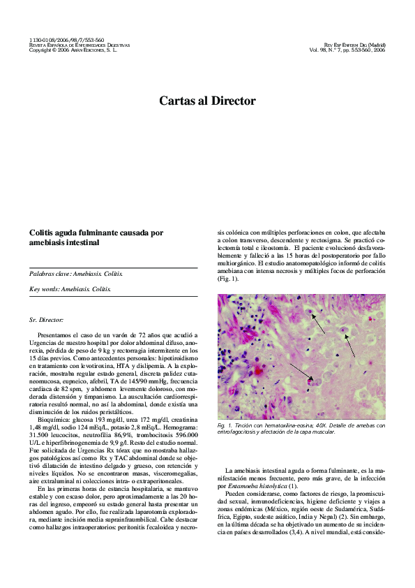 (PDF) Colitis aguda fulminante causada por amebiasis intestinal