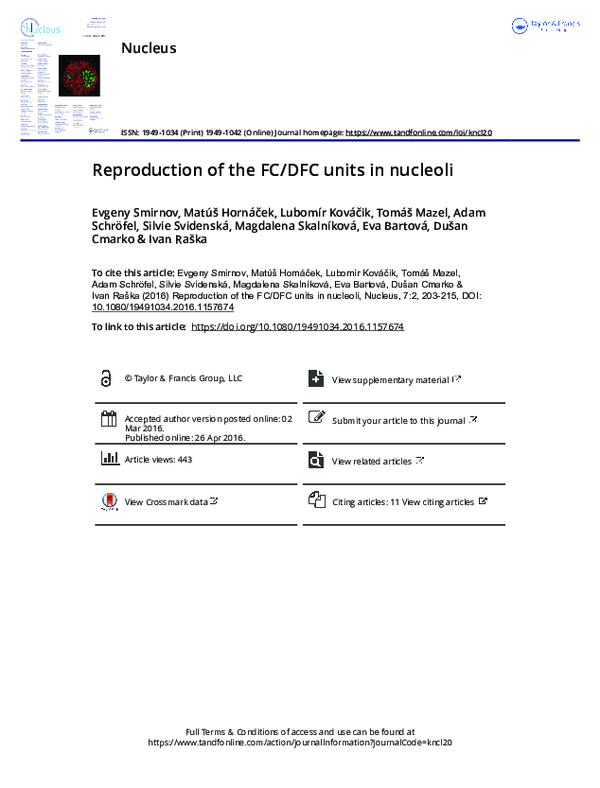 (PDF) Reproduction of the FC/DFC units in nucleoli