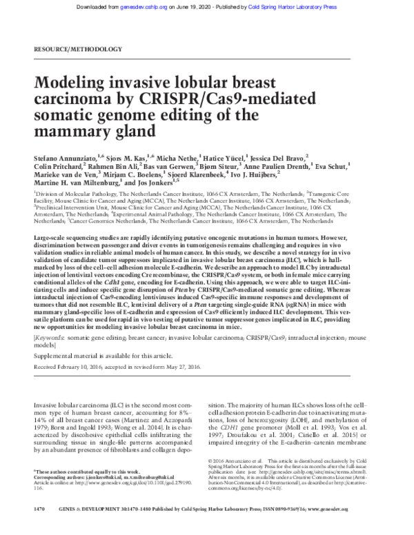 (PDF) Modeling invasive lobular breast carcinoma by CRISPR/Cas9 ...