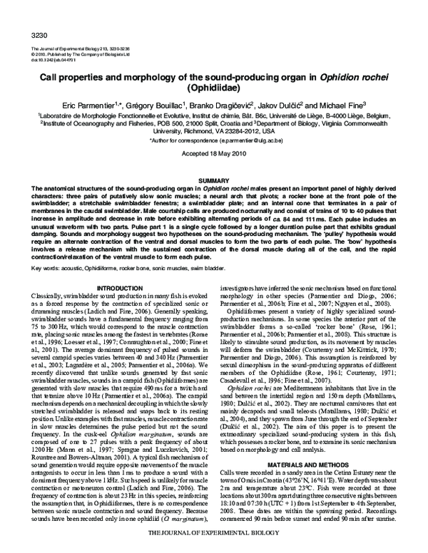 (PDF) Call properties and morphology of the sound-producing organ in ...