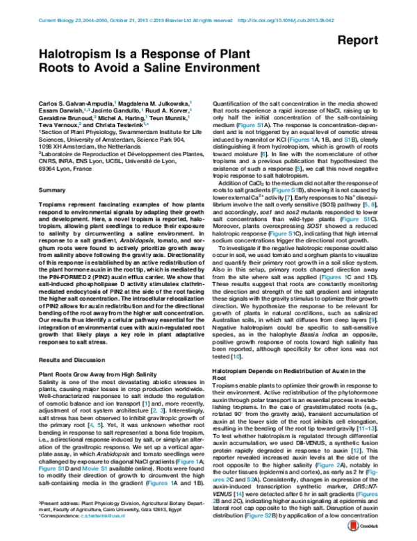 (PDF) Halotropism Is a Response of Plant Roots to Avoid a Saline ...