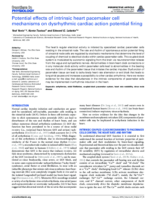 (PDF) Potential effects of intrinsic heart pacemaker cell mechanisms on ...