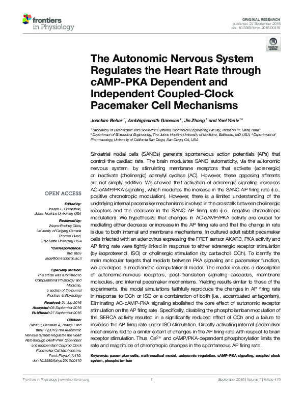 (PDF) The Autonomic Nervous System Regulates the Heart Rate through ...