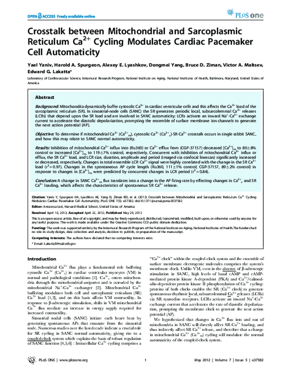 (PDF) Crosstalk between mitochondrial and sarcoplasmic reticulum Ca2 ...
