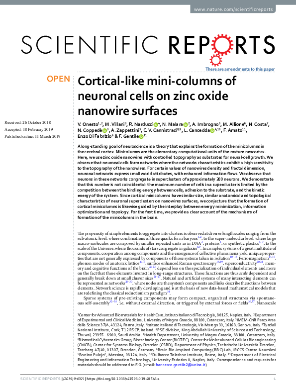 (PDF) Cortical-like mini-columns of neuronal cells on zinc oxide ...
