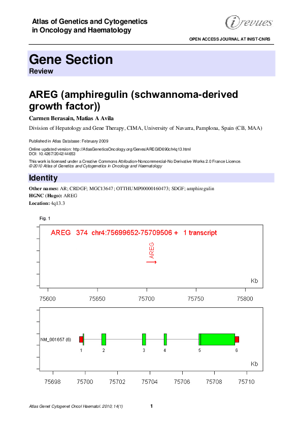(PDF) AREG (amphiregulin (schwannoma-derived growth factor))