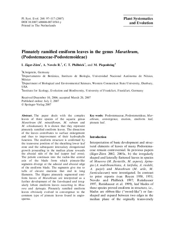 (PDF) Pinnately ramified ensiform leaves in the genus Marathrum ...