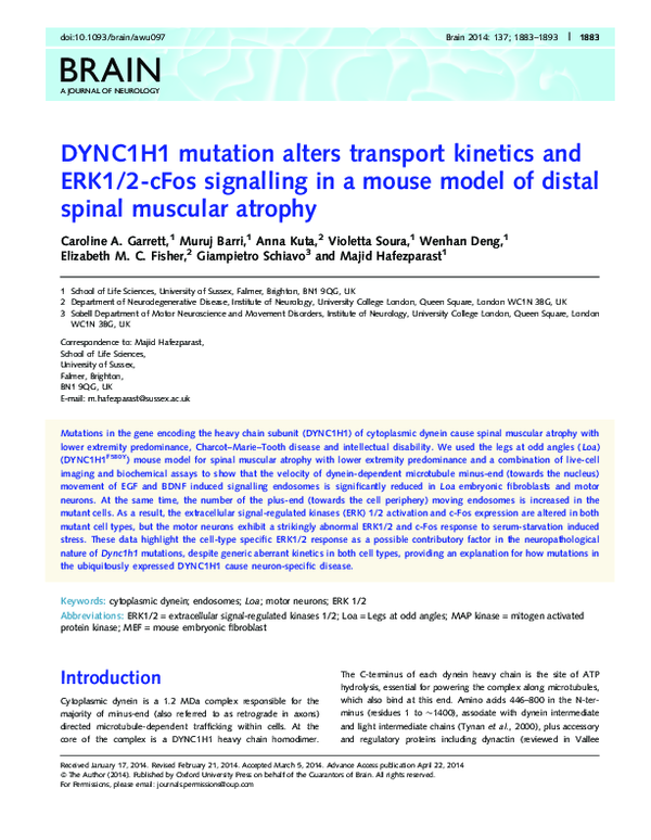 (PDF) DYNC1H1 mutation alters transport kinetics and ERK1/2-cFos ...