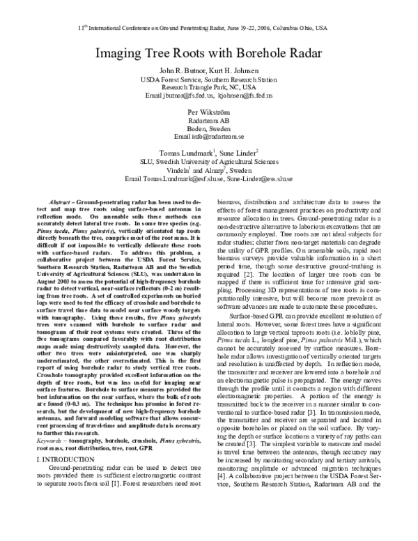 (PDF) Imaging Tree Roots with Borehole Radar