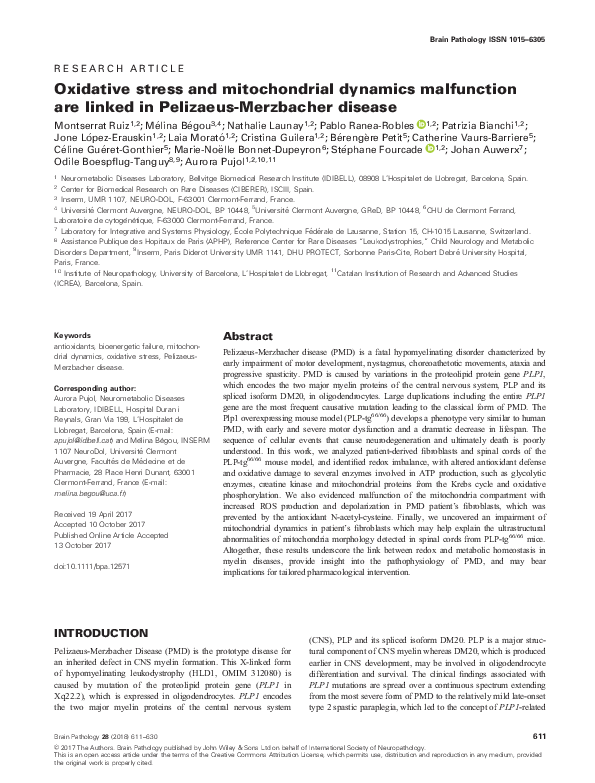 (PDF) Oxidative stress and mitochondrial dynamics malfunction are ...