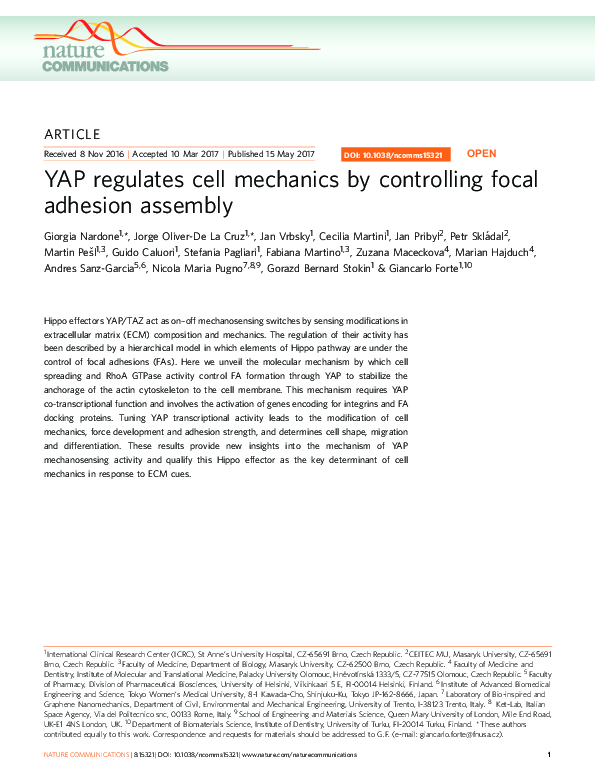 (PDF) YAP regulates cell mechanics by controlling focal adhesion assembly