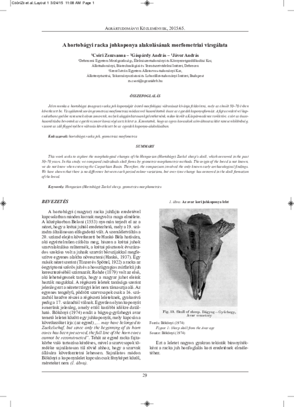 (PDF) Comparing skull formation of the Hungarian (Hortobágy) Zackel ...
