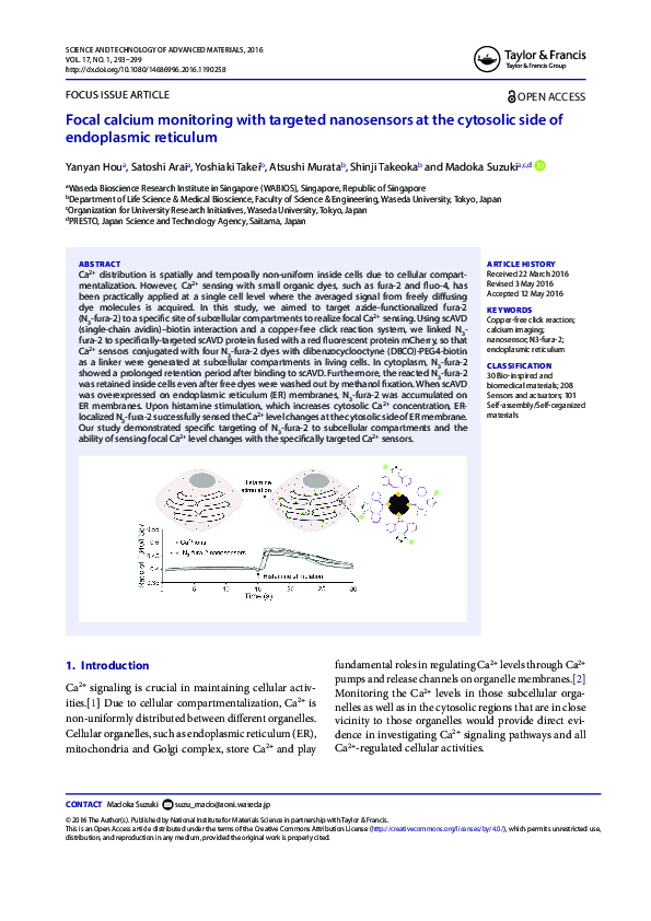(PDF) Focal calcium monitoring with targeted nanosensors at the ...